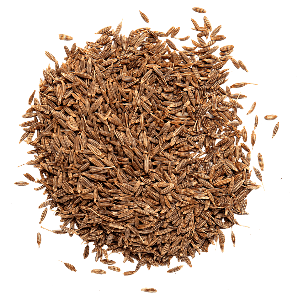 Cumin, white, whole - Green Saffron Single Estate, Freshest Spice